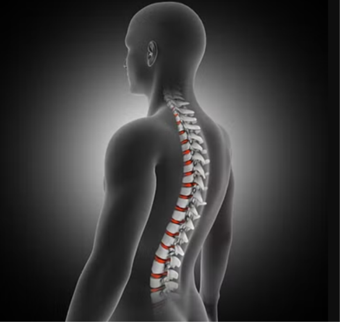 Rehabilitation and Recovery After Spinal Cord Surgery